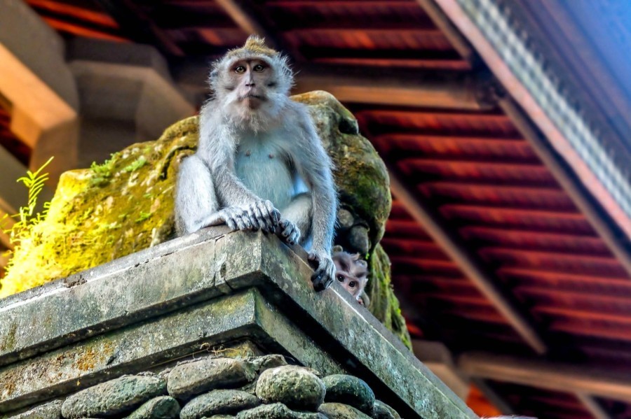 Bali and Surrounds; Summed Up In 9 Spectacular Images