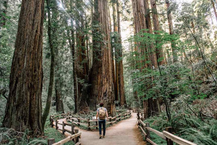 13 Huge Places That Make You Feel Small - Days to Come
