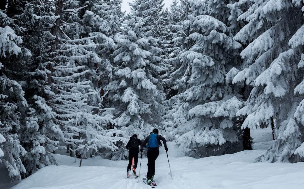 The Alps Vs The Rockies: Where Will You Explore? - Days to Come