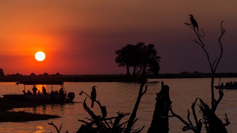 9 Reasons to Take an African River Cruise - Days to Come