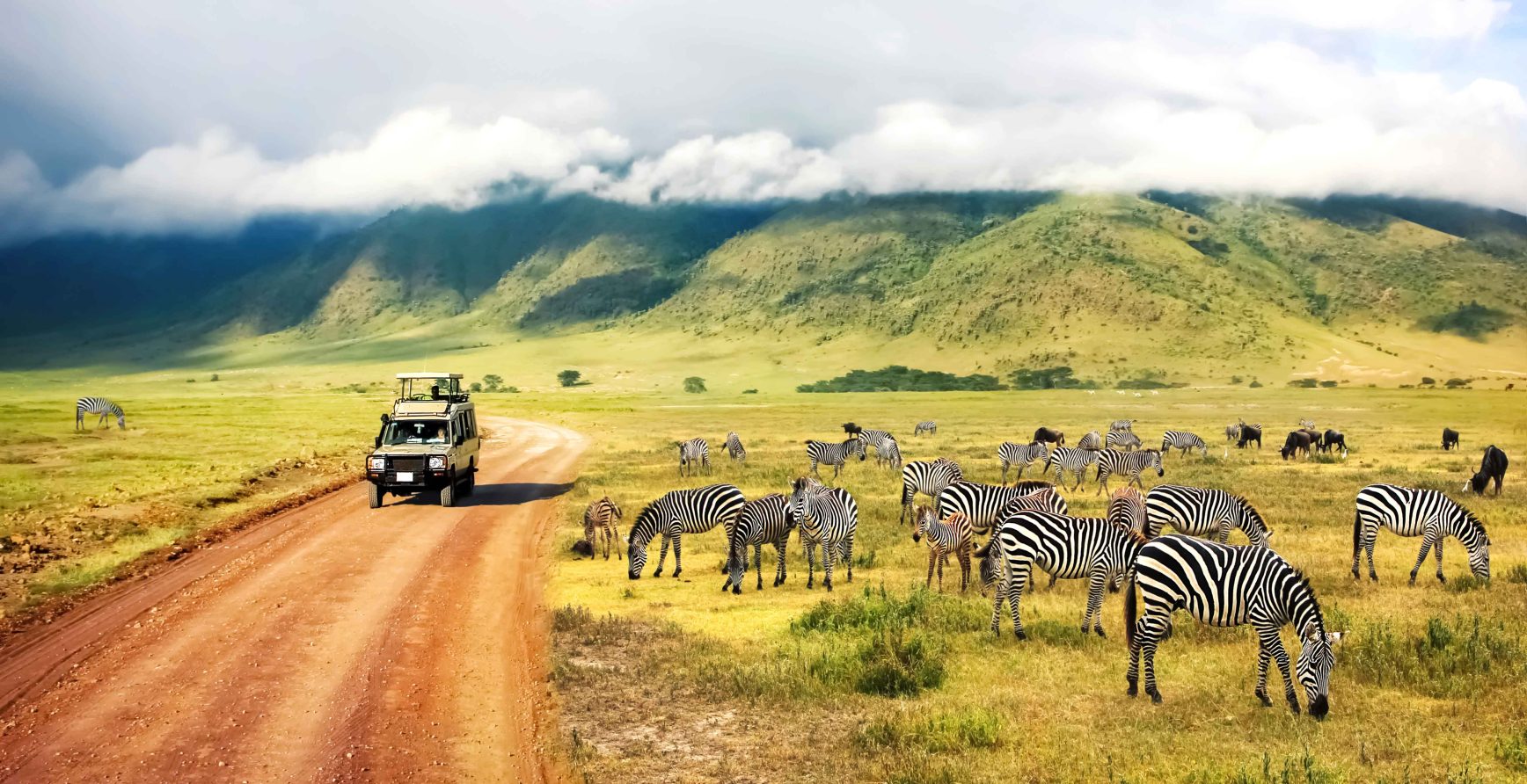The Best Safari Destinations in the World (Updated 2024) - Days to Come