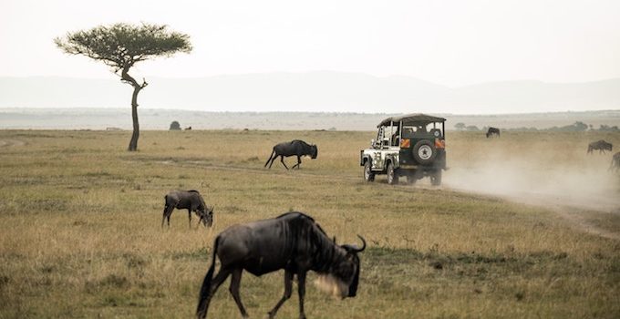 10 Amazing Wildlife Tours & Trips 2021 - TourRadar